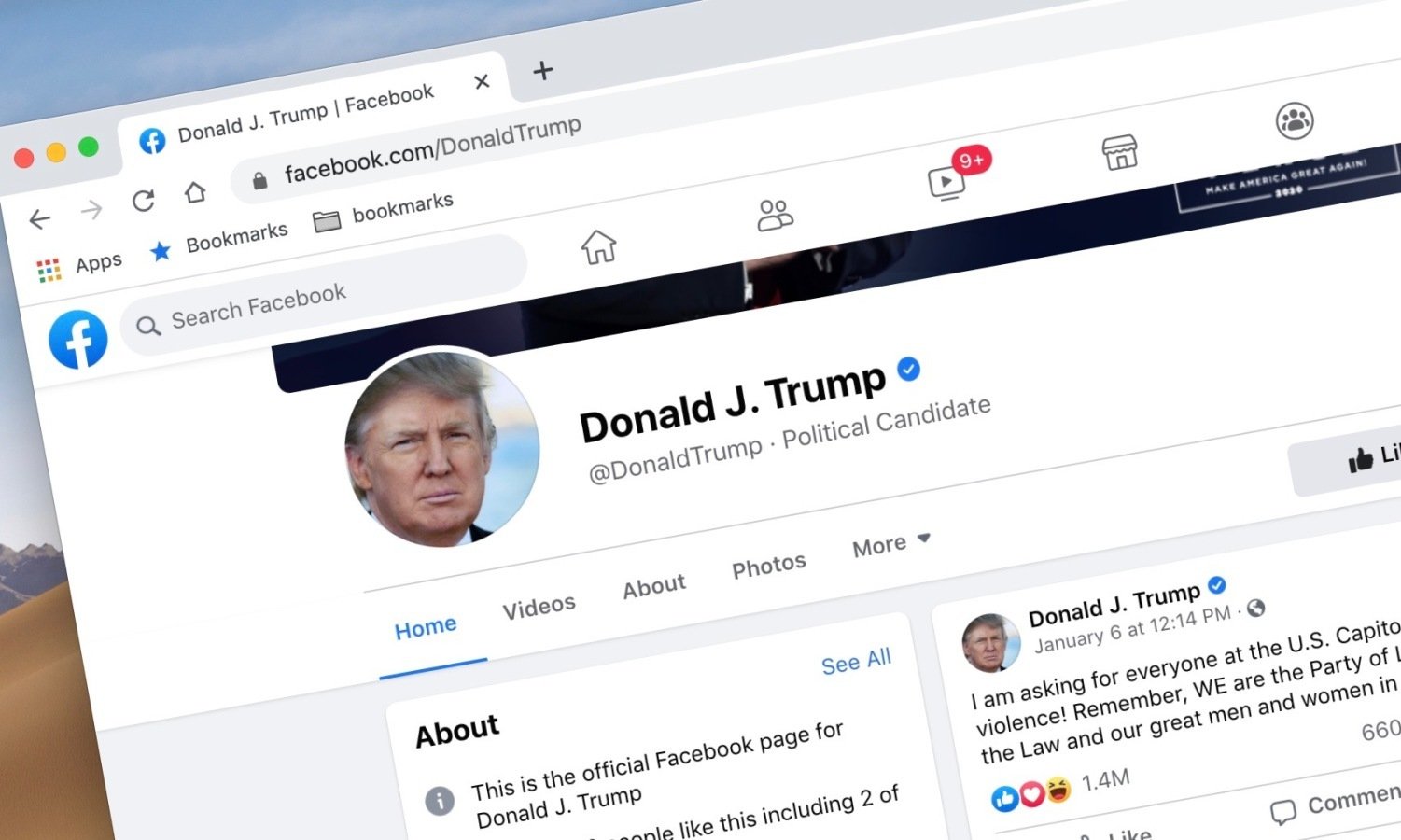BREAKING: Trump’s Facebook Account Has Reportedly Been REINSTATED ...