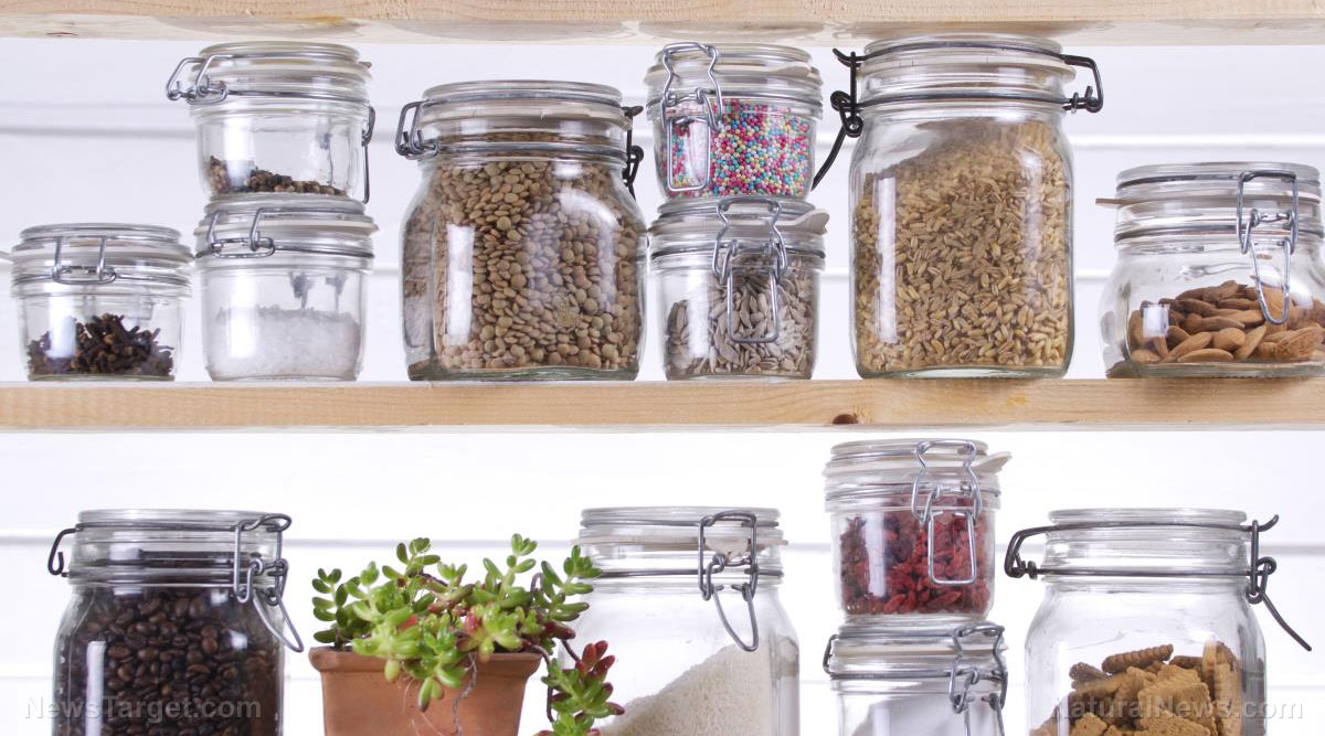 4 Best food storage containers for your stockpile – Survive the News