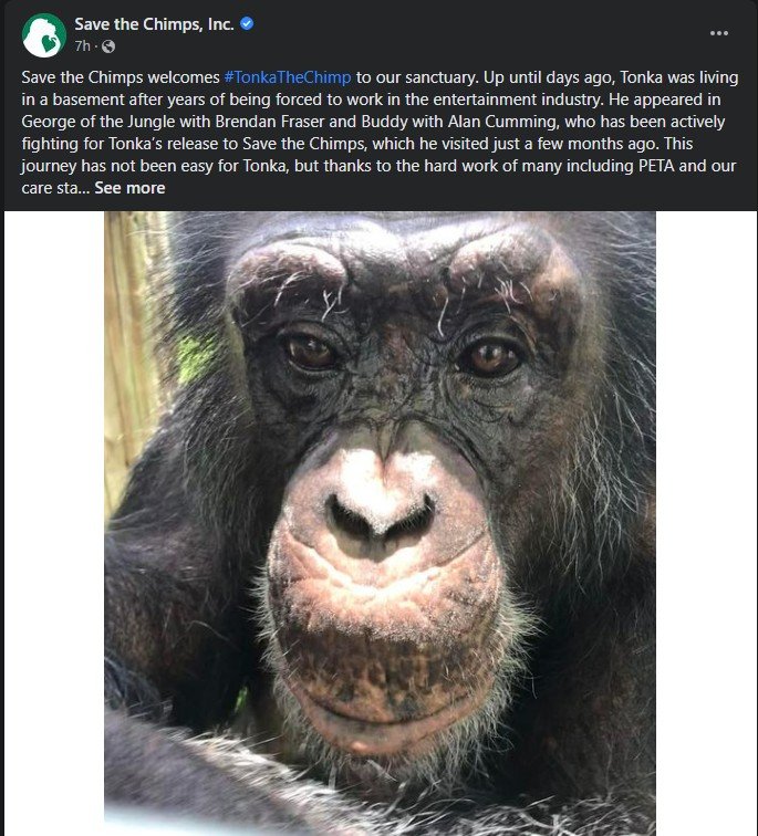 EXCLUSIVE: The Pump and Dump Scheme Of PETA That Endangers Animals And ...