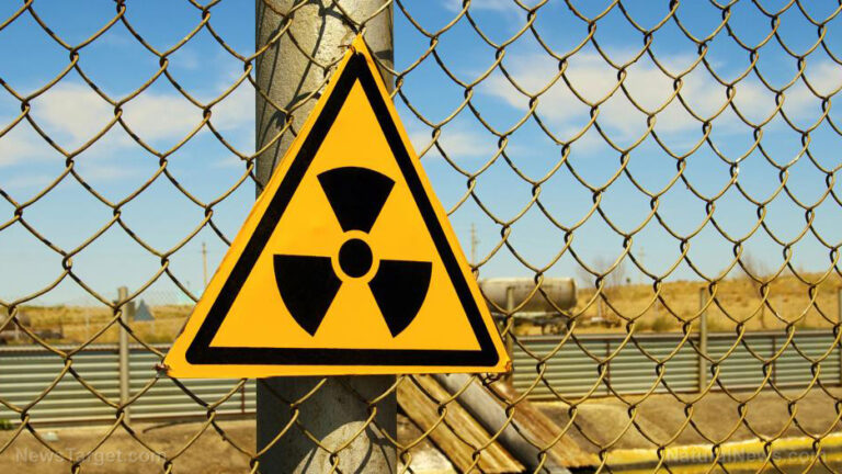 RADIOACTIVE fish discovered near Fukushima renews concerns over plans ...