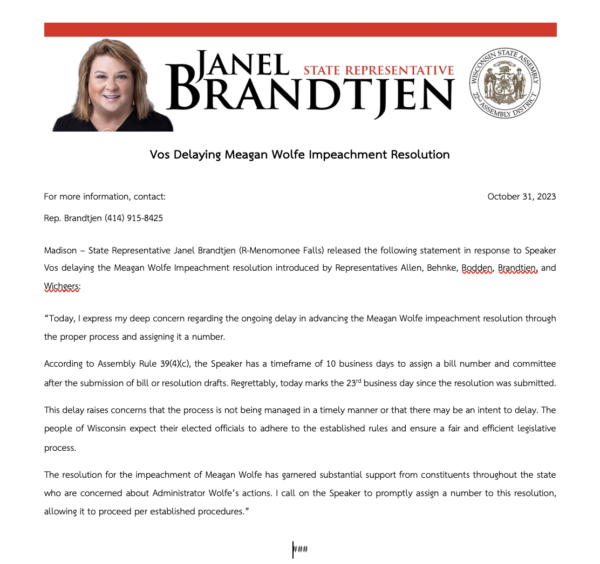 Wisconsin Election Integrity Warrior Rep. Janel Brandtjen Issues ...