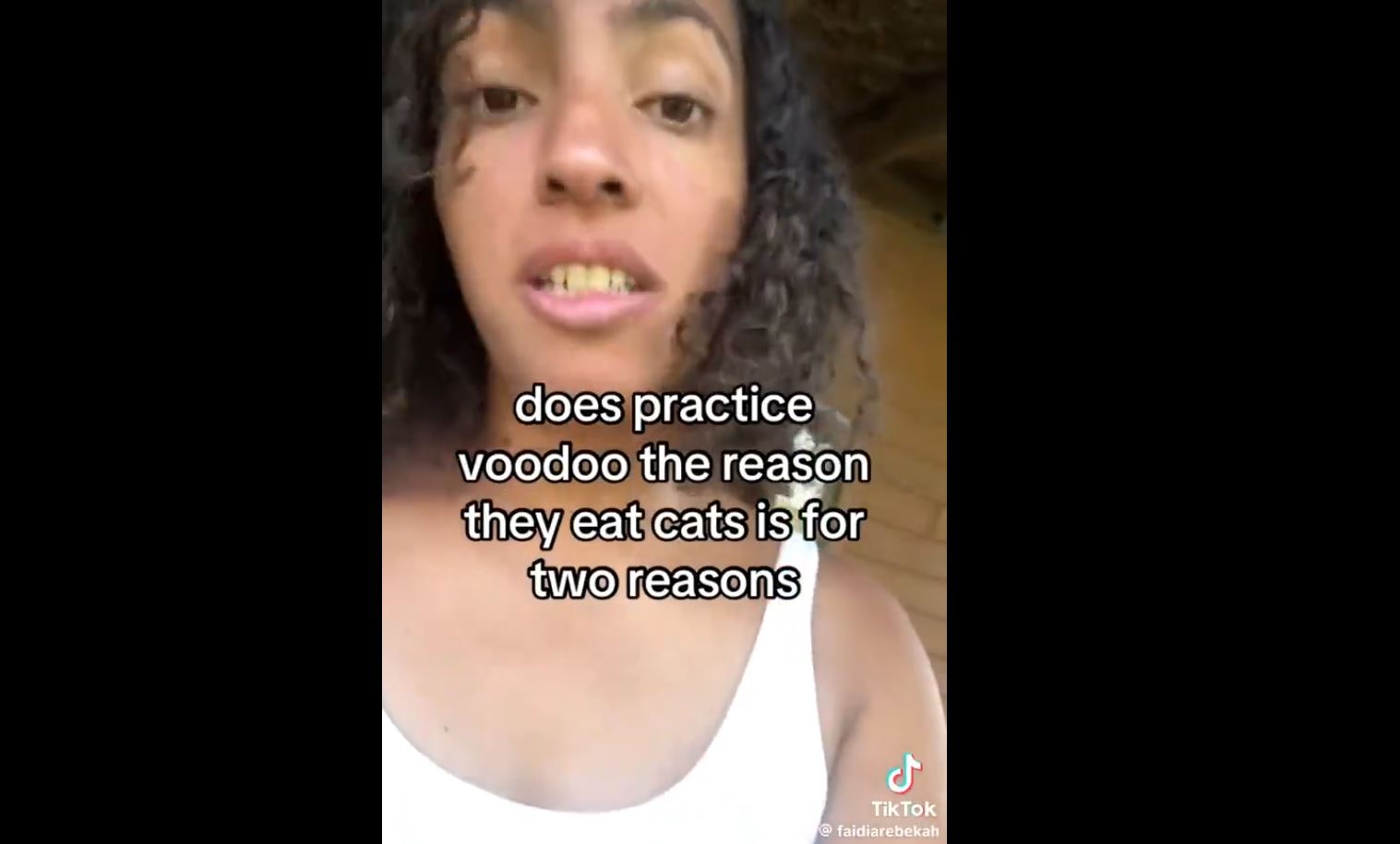 ELON MUSK Posts Video of Haitian Woman Describing Dog-Eating and Voodoo ...