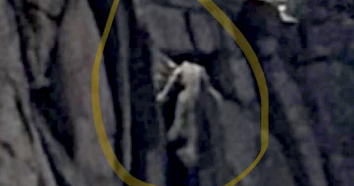 MOUNTAIN GIANT? Colorado Hikers Snap Picture of Apparent 20-Foot ...