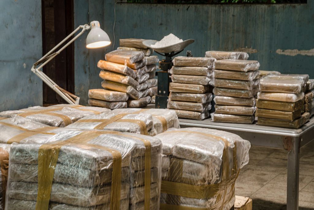Mexico Seizes 61 Tons of Drugs: Is It a Step Forward in the Fight ...