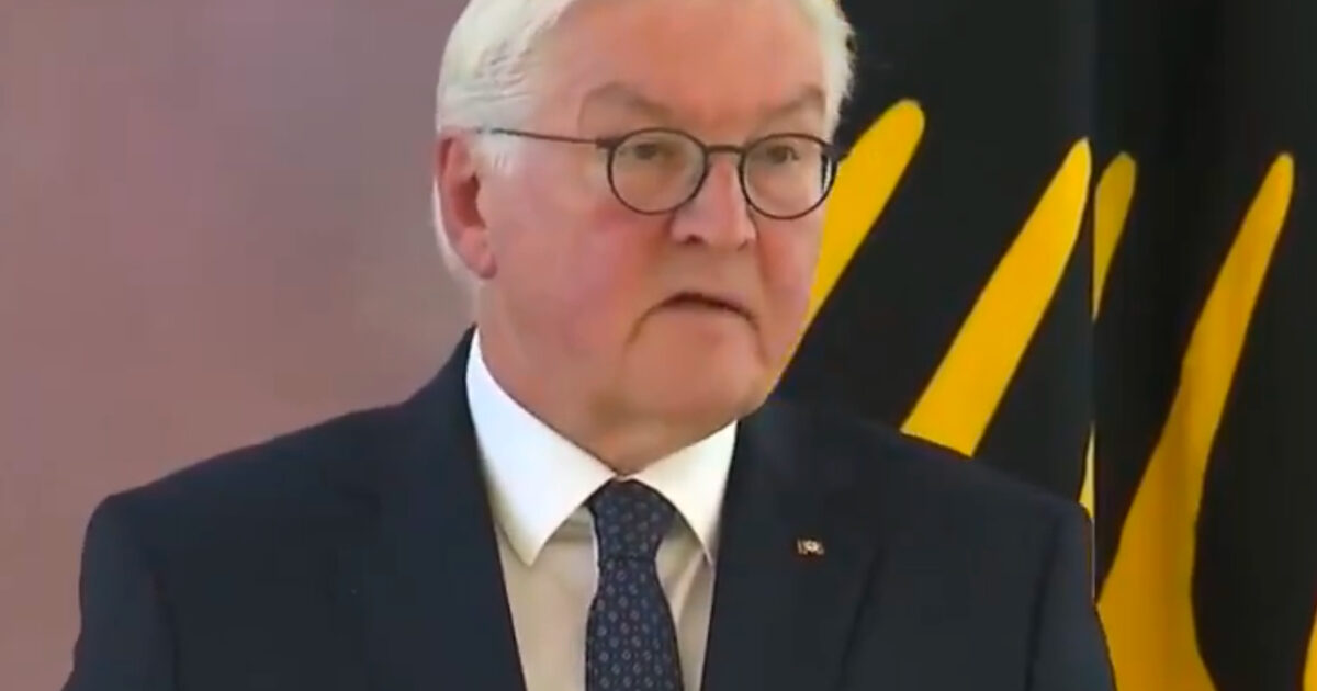 Germany’s President Dissolves Parliament and Calls Snap Elections ...