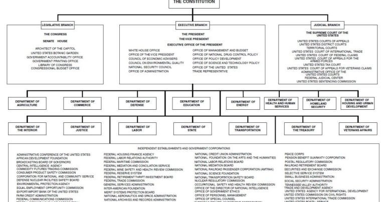 Here’s the Organization Chart That Exposes How Unelected Activist ...
