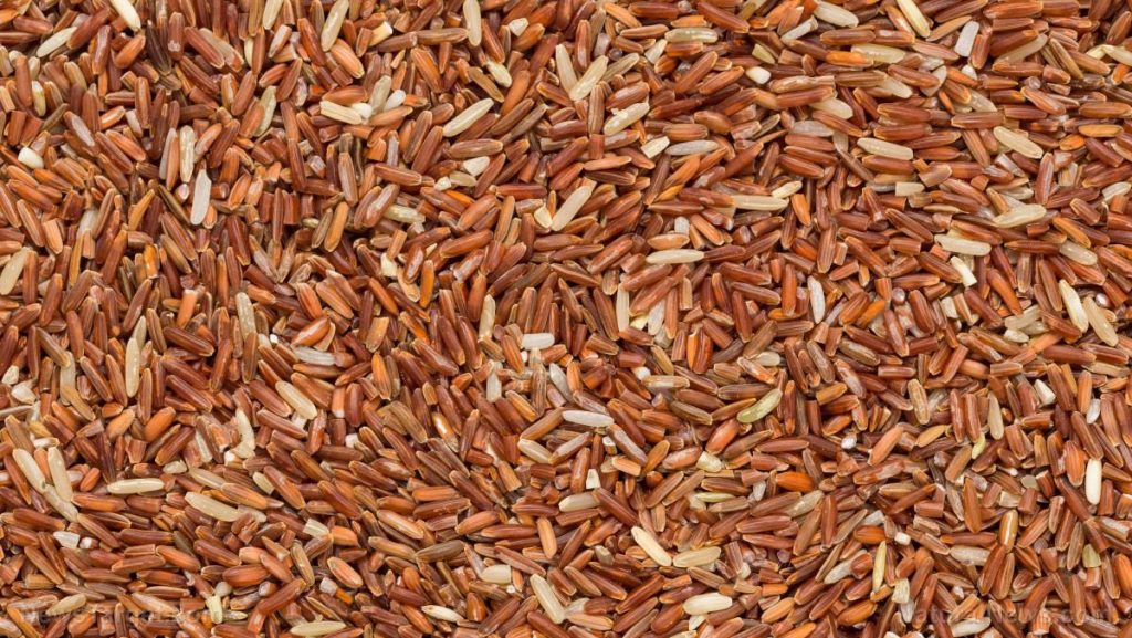 New study confirms brown rice contains 40% more toxic arsenic than ...