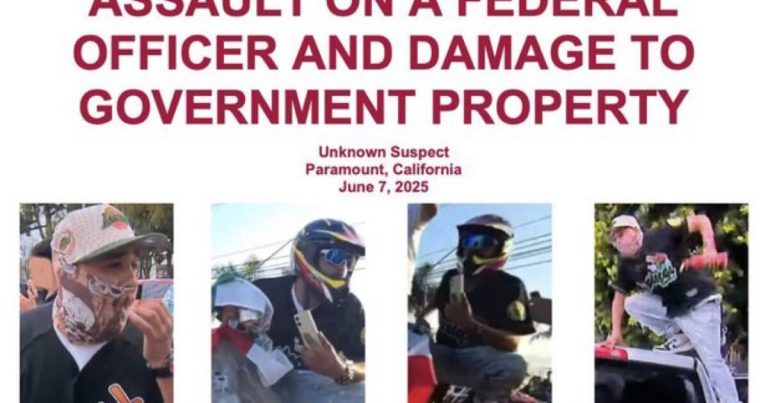 JUST IN: FBI Identifies Anti-ICE Rioter Who Threw Rocks at Police – And ...