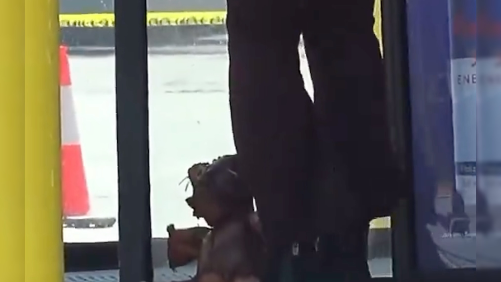 Teddy Bear Wrapped in “Human-Like Skin” Found Outside of California Gas ...