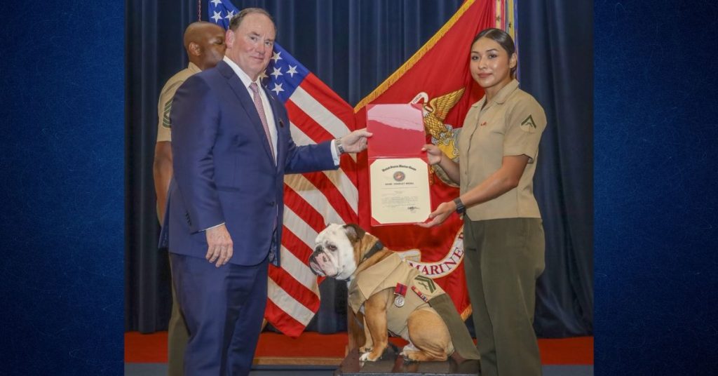 Heartwarming Honor: Marine Corps Mascot Cpl. Chesty XVI Awarded Good ...