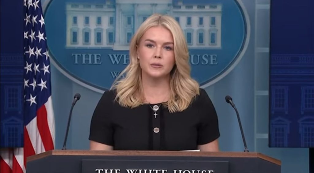 (VIDEO) Karoline Leavitt Responds to Jen Psaki and Minneapolis Mayor's ...