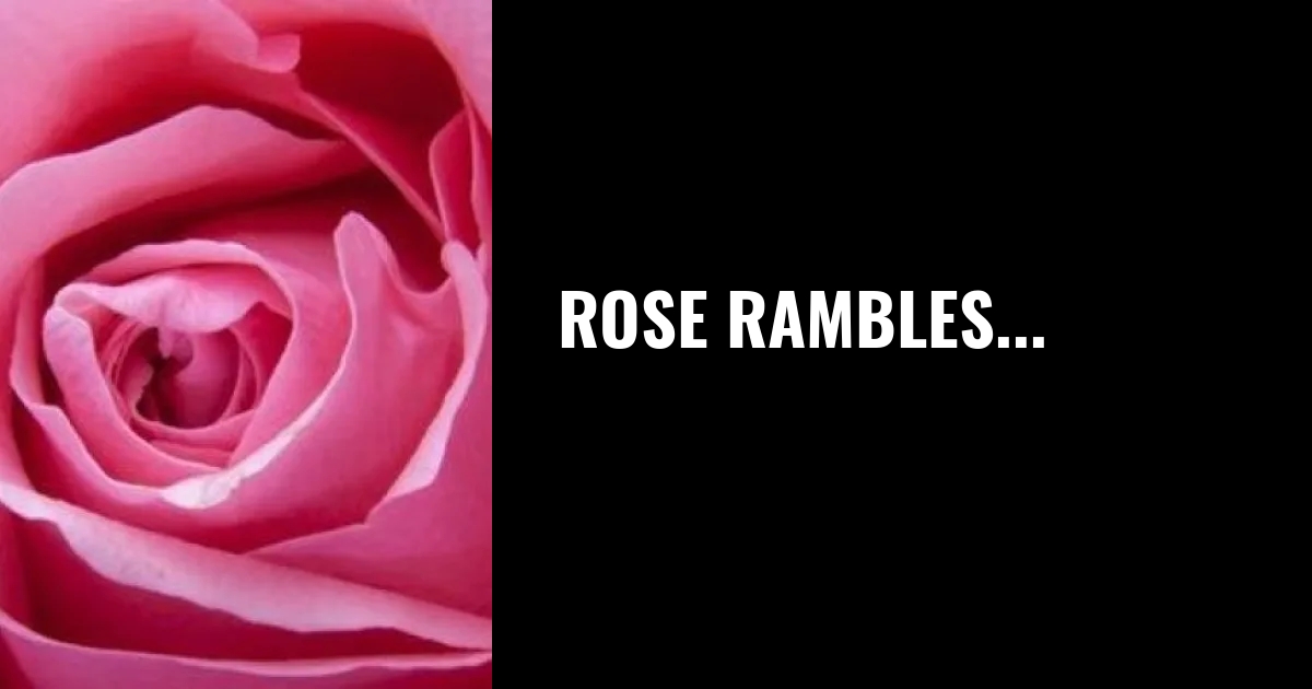 Chronic Candy Goes Down – November 8, 2025 – Survive the News