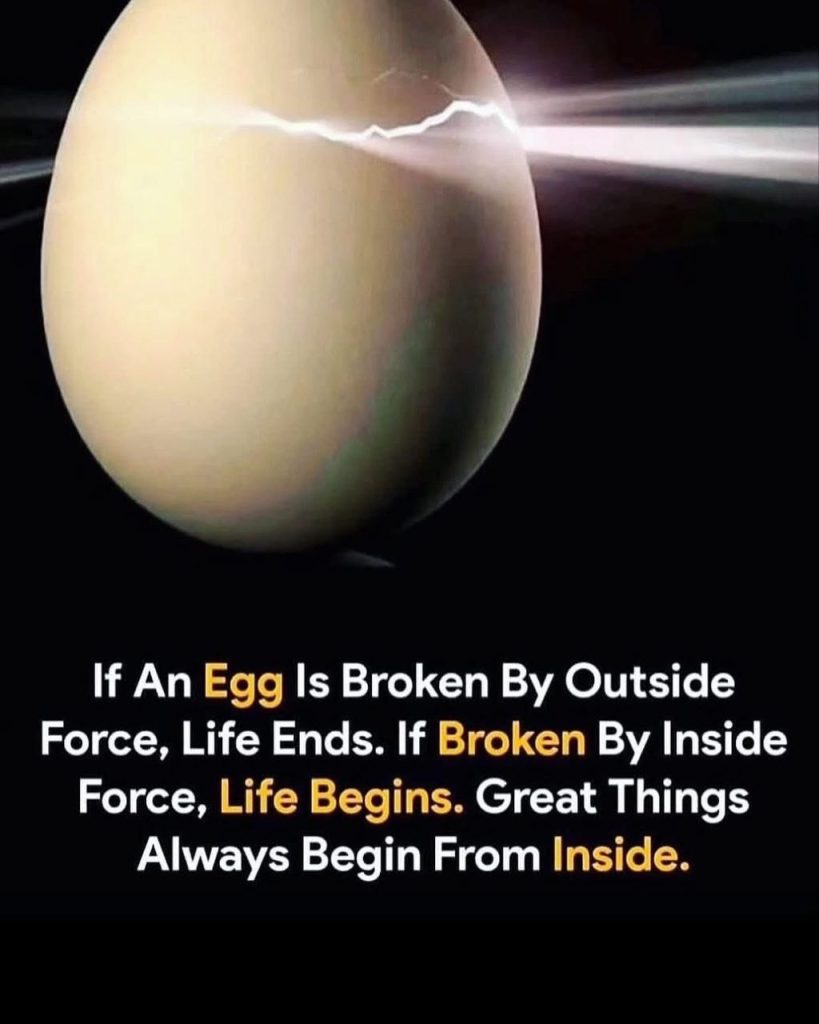 💫 QUANTUM JUSTICE RESONANCE — ECLIPSE DECODED – November 10, 2025 ...