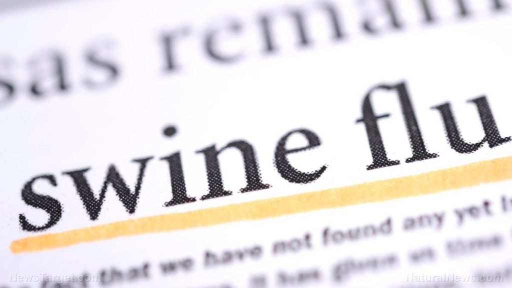 Swine fever outbreak puts Spanish lab under microscope – NaturalNews ...