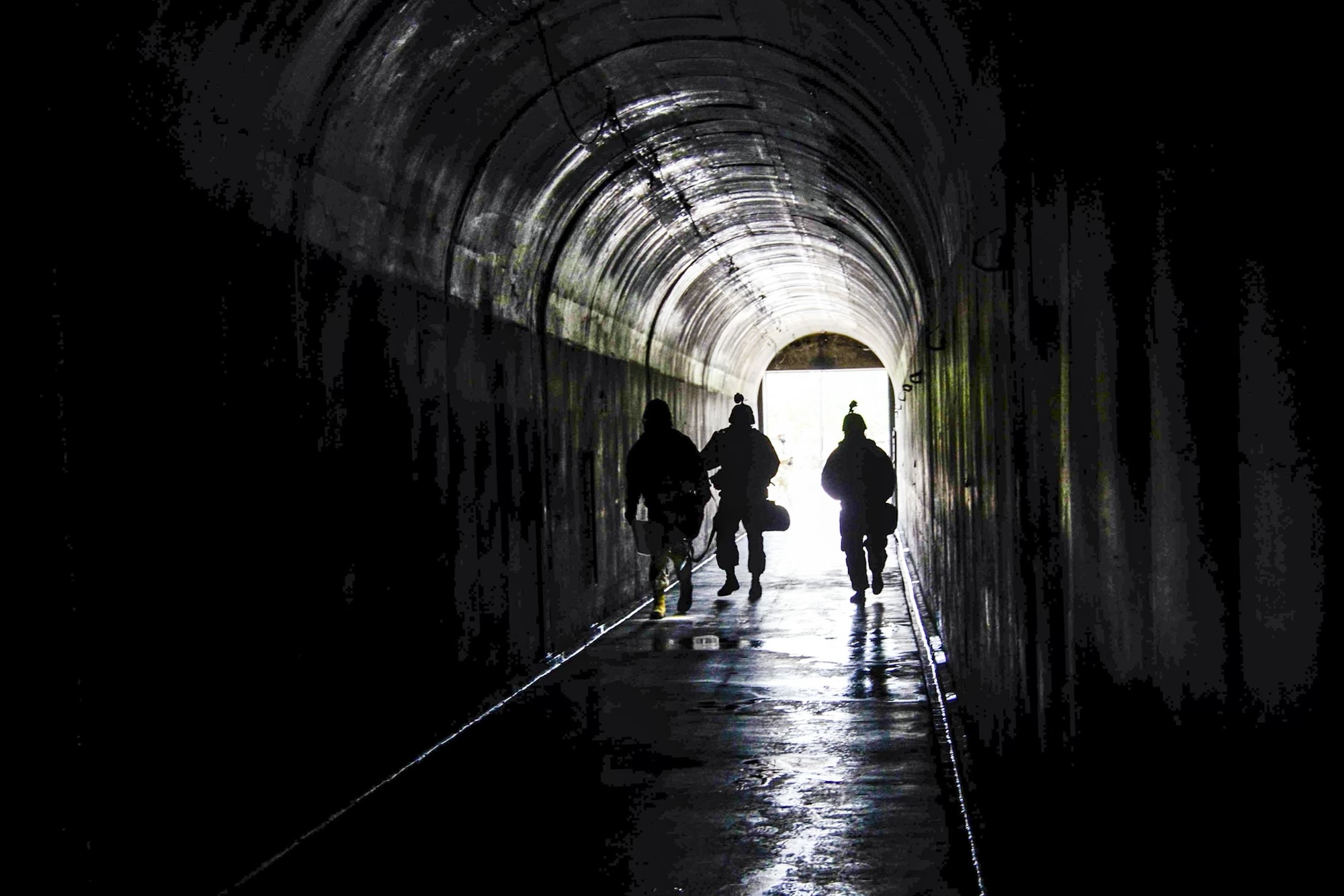 😻 President/CiC Trump is demolishing – January 25, 2026 – Survive the News